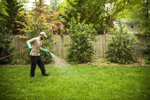 Why Fall Pre-Emergent Weed Control is Important for Your Lawn