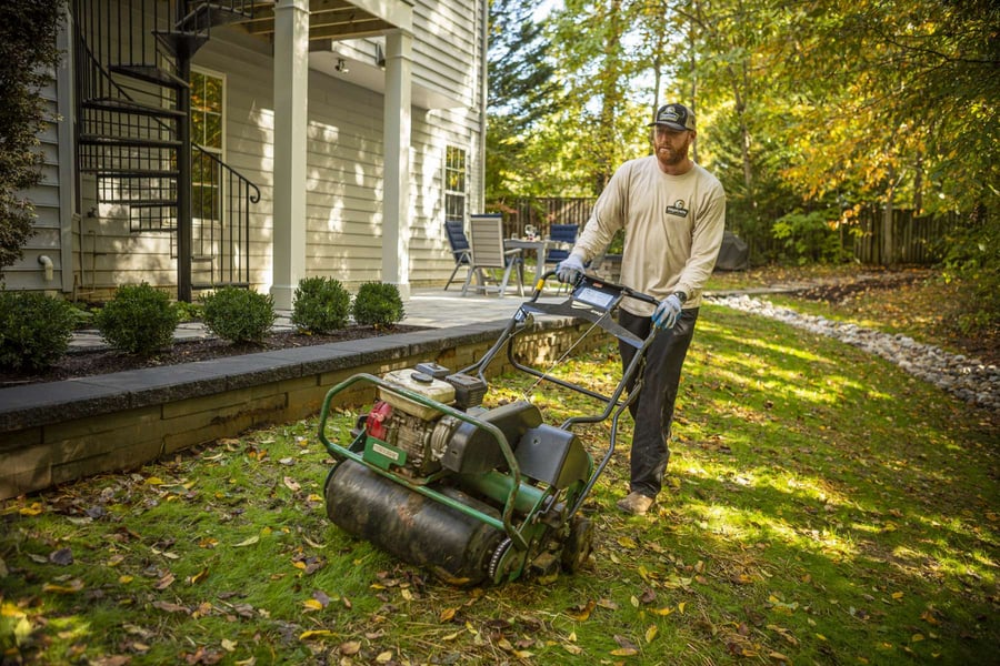 3 Interview Questions to Ponder When Considering a Lawn Care or ...
