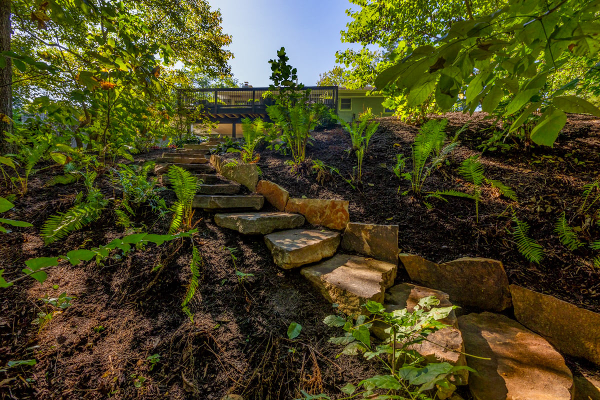 Rooted in Virgnia: Selecting The 10 Best Virginia Native Plants for ...