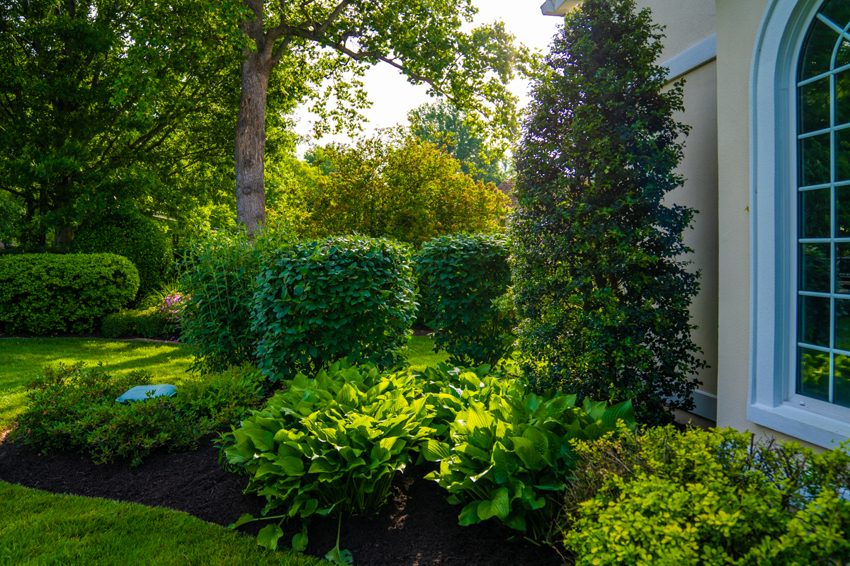 Kingstowne Lawn & Landscape Portfolio | Flowers, Shrubs & Trees